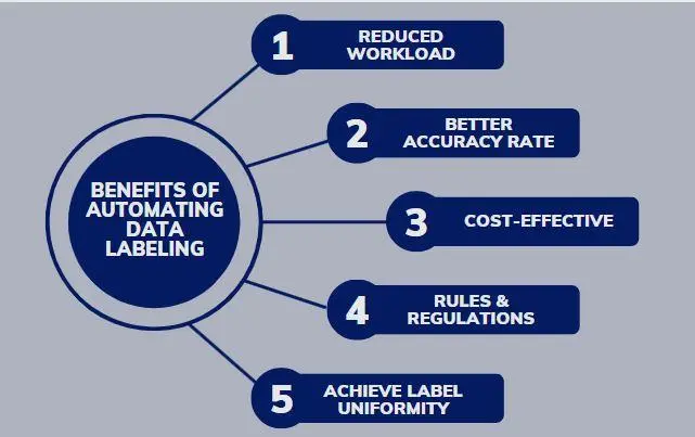 Elevating ML: AI-Driven Data Annotation with LabelGPT